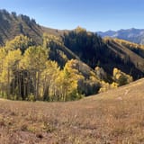 Wasatch Crest Trail, Utah - 311 Reviews, Map | AllTrails