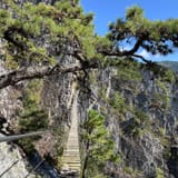 Nelson Rocks Via Ferrata, West Virginia - 147 Reviews, Map | AllTrails