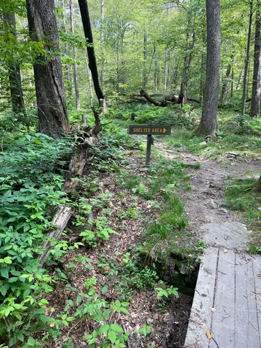 10 Best Hikes and Trails in Forbes State Forest | AllTrails