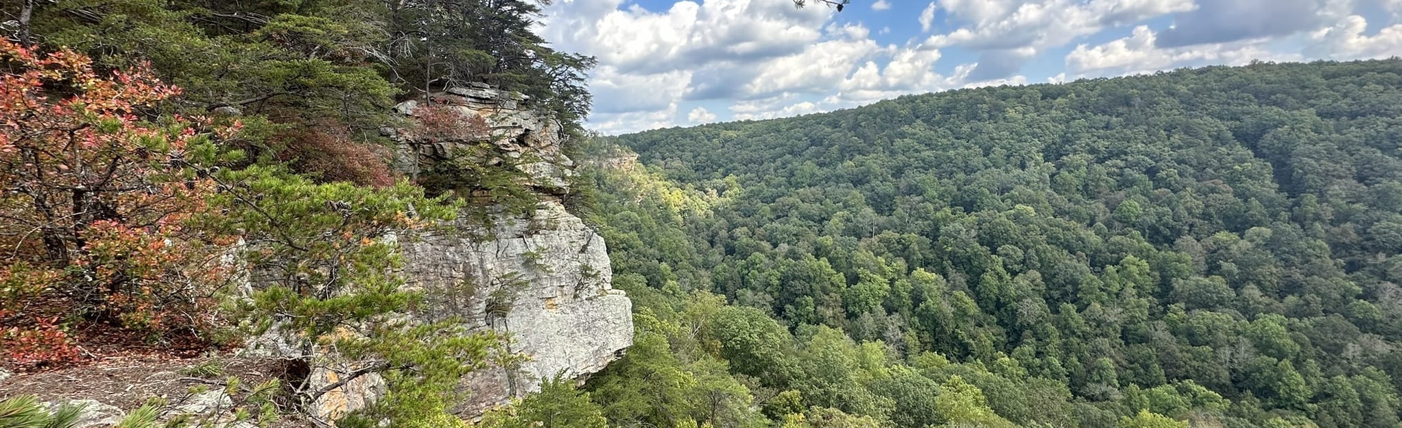 Fiery Gizzard Trail to Raven's Point, Tennessee - 1,116 Reviews, Map ...