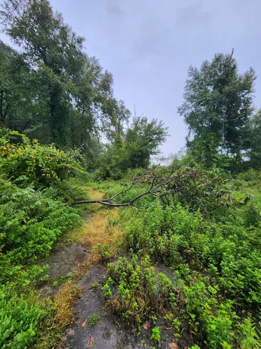 Best Hikes and Trails in Scenic Hudson’s Long View Park | AllTrails