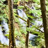 Murhut Falls Trail, Washington - 883 Reviews, Map | AllTrails