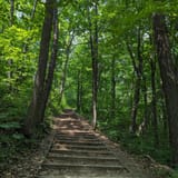 Parnell Tower Trail, Wisconsin - 793 Reviews, Map | AllTrails