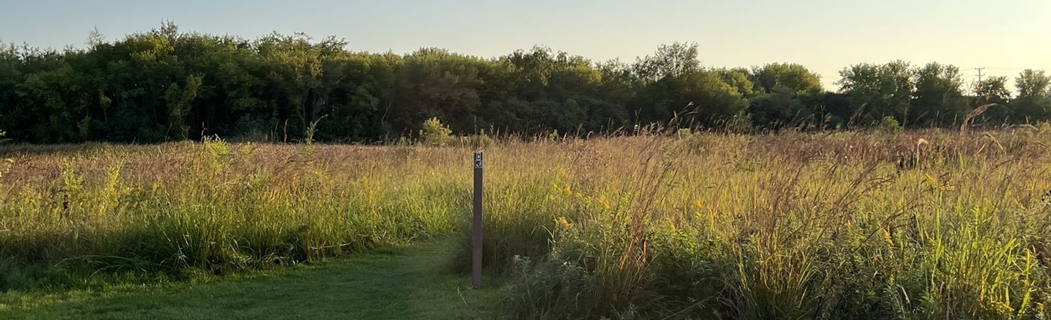 Exner Marsh Loop Trail, Illinois - 14 Reviews, Map | AllTrails