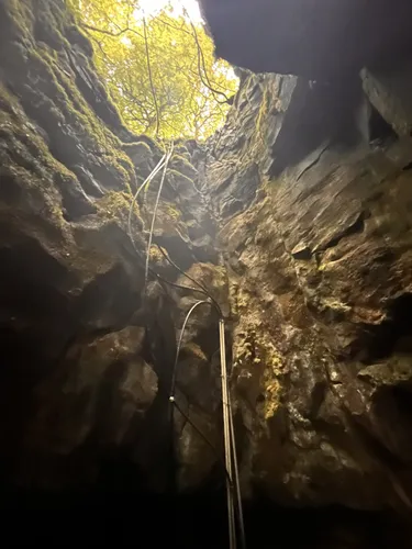 2023 Best Forest Trails in Cong | AllTrails