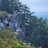 Carvin's Cove Hay Rock via Appalachian Trail, Virginia - 885 Reviews ...