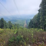 Carvin's Cove Hay Rock via Appalachian Trail, Virginia - 885 Reviews ...