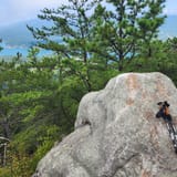Carvin's Cove Hay Rock via Appalachian Trail, Virginia - 885 Reviews ...