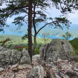 Carvin's Cove Hay Rock via Appalachian Trail, Virginia - 885 Reviews ...