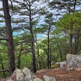 Carvin's Cove Hay Rock via Appalachian Trail, Virginia - 885 Reviews ...