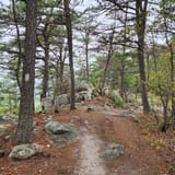 Carvin's Cove Hay Rock via Appalachian Trail, Virginia - 885 Reviews ...