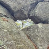 Carvin's Cove Hay Rock via Appalachian Trail, Virginia - 885 Reviews ...