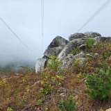 Carvin's Cove Hay Rock via Appalachian Trail, Virginia - 885 Reviews ...