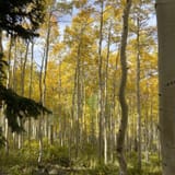 Wasatch Crest Trail, Utah - 363 Reviews, Map | AllTrails