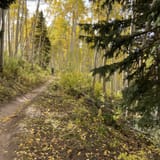 Wasatch Crest Trail, Utah - 363 Reviews, Map | AllTrails