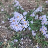 Memory Grove Trail, Utah - 1,252 Reviews, Map | AllTrails