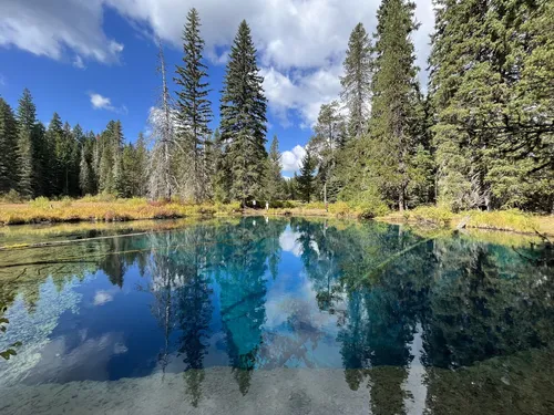 10 Best Kid Friendly Trails in Mount Hood National Forest | AllTrails