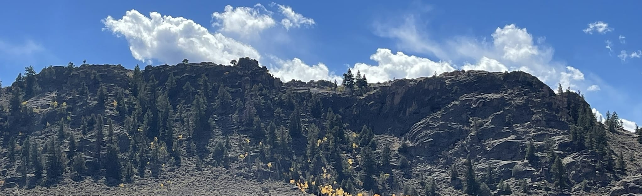 Hartman Rocks Loop, Colorado - 193 Reviews, Map | AllTrails