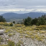 Bonanza Peak via Spring Mountain Divide Trail, Nevada - 312 Reviews ...