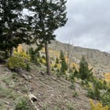 Bonanza Peak via Spring Mountain Divide Trail, Nevada - 312 Reviews ...