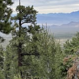 Bonanza Peak via Spring Mountain Divide Trail, Nevada - 312 Reviews ...