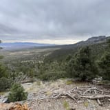 Bonanza Peak via Spring Mountain Divide Trail, Nevada - 312 Reviews ...