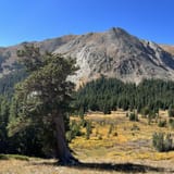 French Pass Trail, Colorado - 440 Reviews, Map | AllTrails