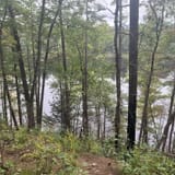 Hudson Pointe Nature Preserve, New York - 715 Reviews, Map | AllTrails