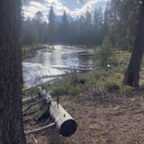 Fall River Trail, Oregon - 414 Reviews, Map | AllTrails