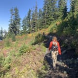 McClellan Butte Trail, Washington - 1,052 Reviews, Map | AllTrails