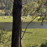 Enoggera Reservoir Circuit, Queensland, Australia - 1,540 Reviews, Map ...