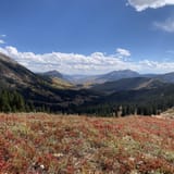 Washington Gulch Trail [CLOSED], Colorado - 409 Reviews, Map | AllTrails