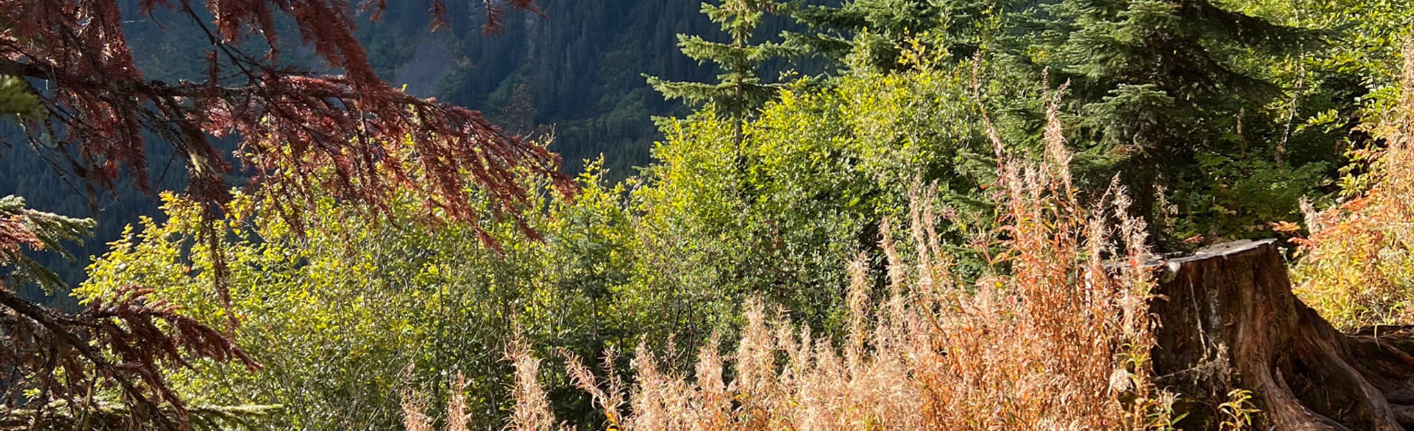 Hope Mountain, British Columbia, Canada - 87 Reviews, Map | AllTrails