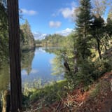 Lake Lagunitas, California - 645 Reviews, Map | AllTrails