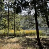Lake Lagunitas, California - 645 Reviews, Map | AllTrails