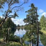 Lake Lagunitas, California - 645 Reviews, Map | AllTrails