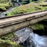 Black Forest North Loop Trail, Pennsylvania - 223 Reviews, Map | AllTrails