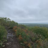 Hawk Ridge Bird Observatory Loop, Minnesota - 263 Reviews, Map | AllTrails