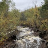 Hawk Ridge Bird Observatory Loop, Minnesota - 263 Reviews, Map | AllTrails