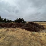 Lewis S Eaton Trail, California - 847 Reviews, Map | AllTrails