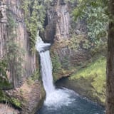 Toketee Falls, Oregon - 1,981 Reviews, Map | AllTrails