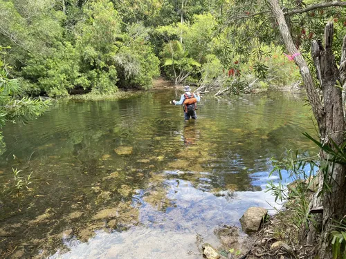 2023 Best River Trails in Mount Elliot | AllTrails