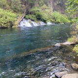 West Metolius River Trail, Oregon - 711 Reviews, Map | AllTrails