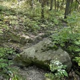 Tracy Ridge Hiking Trail System , Pennsylvania - 349 Reviews, Map ...