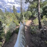 Grindstone Canyon Loop, New Mexico - 1,520 Reviews, Map | AllTrails