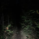 Allen Mountain Trail, New York - 1,134 Reviews, Map | AllTrails