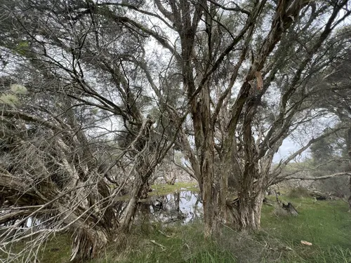 Best Hikes and Trails in Manning Park Reserve | AllTrails