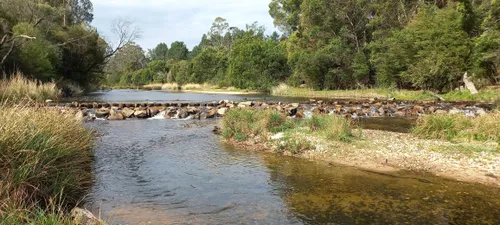 Best Hikes and Trails in Cann River Bushland Reserve | AllTrails