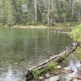Mt. Elwell and Long Lake Loop, California - 148 Reviews, Map | AllTrails