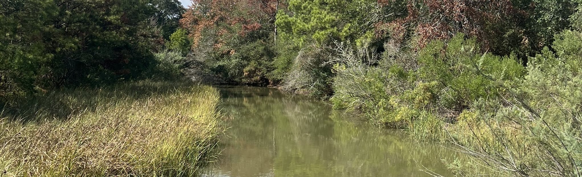 Hester Garden Park Path, Texas - 224 Reviews, Map | AllTrails